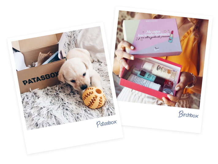 Guía de los modelos de negocio por suscripción | Bring